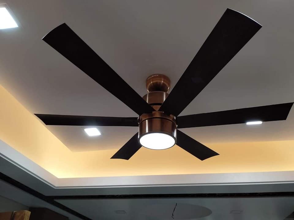 Khaitan Rainbow Ceiling Fan | Shelly Lighting